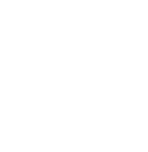 NetZero Metals - Canada Nickel